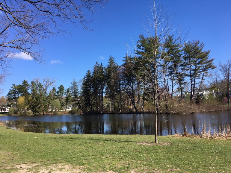 Mead Pond To Get First Dredge Since 2011 | NewCanaanite.com