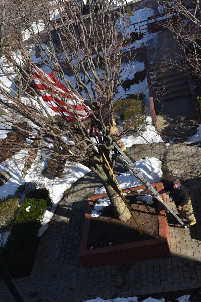 In Storm’s Wake, New Canaan Firefighters Step In To Remove Ripped ...