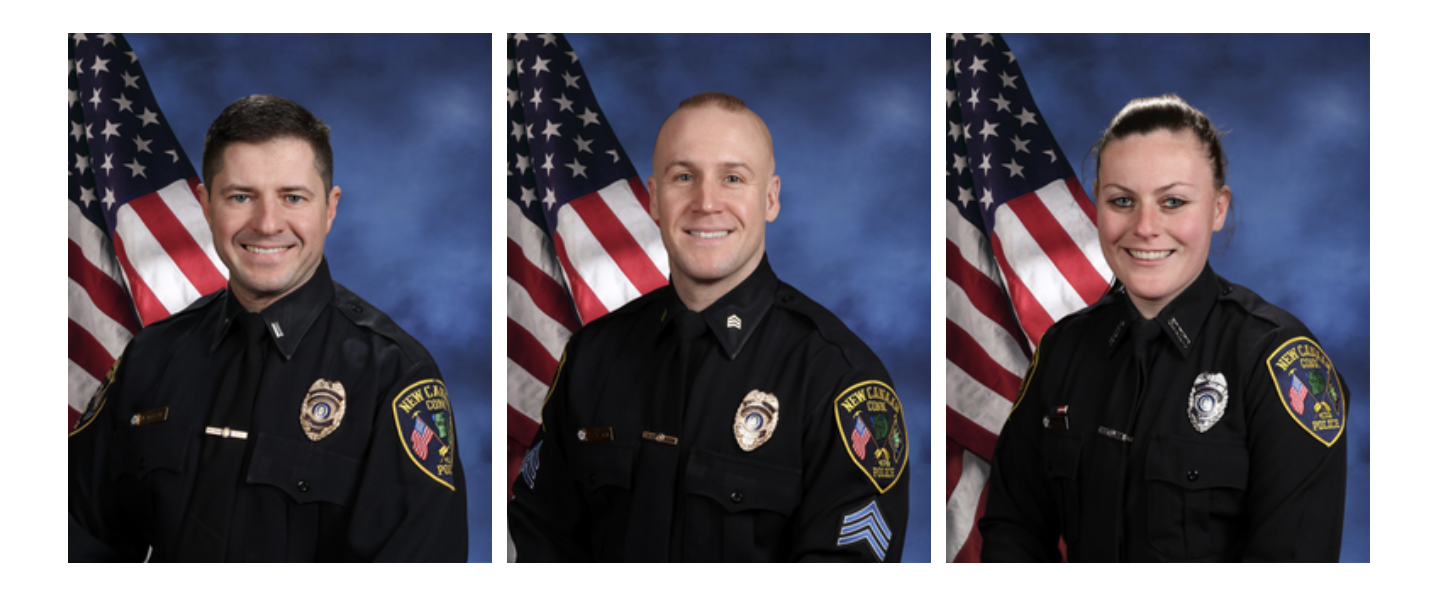 ‘Diligent Police Work and Investigative Skills’: Letters of ...