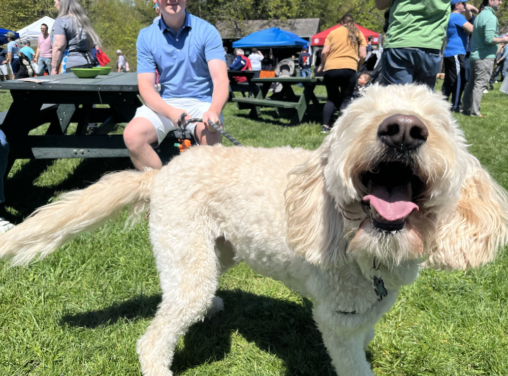 PHOTOS: Dog Days 2023 at Nature Center | NewCanaanite.com