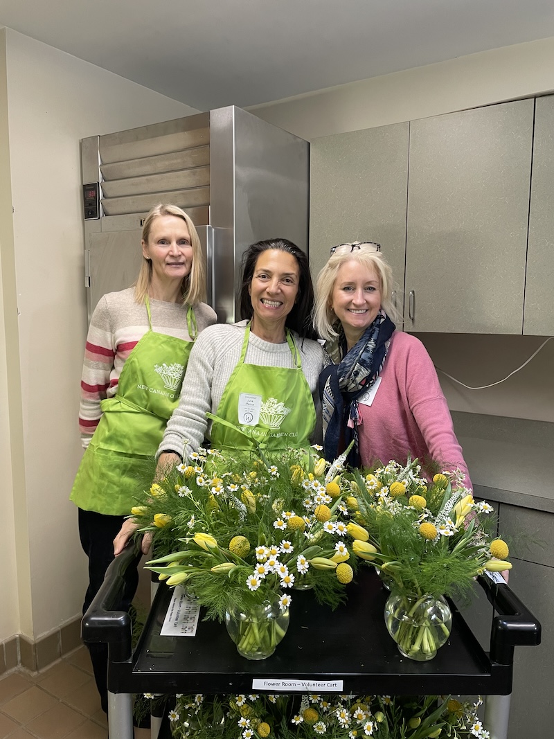 Did You Hear … ? | NewCanaanite.com