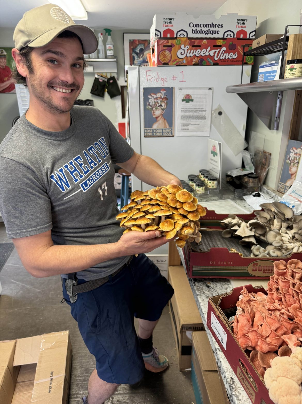 Retired New Canaan Lawyer Turns To Fungi Farming | NewCanaanite.com